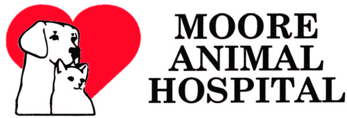 Moore Medical Logo