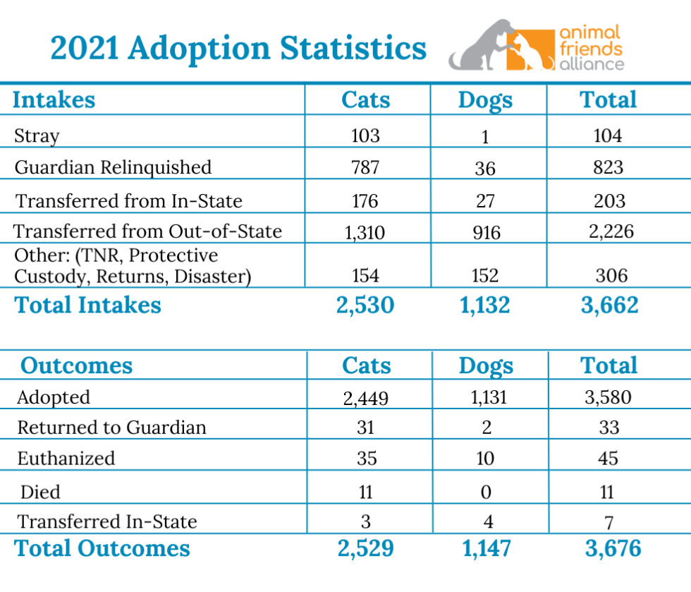 About | Animal Friends Alliance