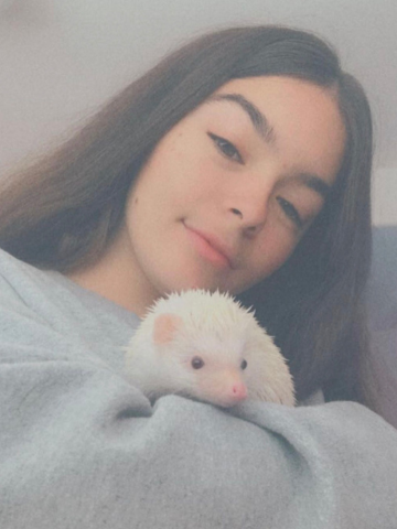 Staff | Animal Friends Alliance